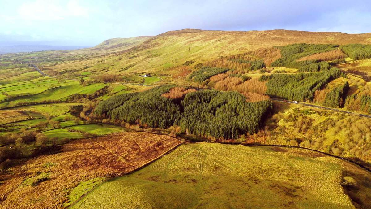 464 Founders Cask Programme – An Carn Distillery