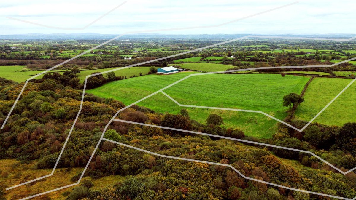 An Carn – Sperrins Distillery – An Carn Distillery