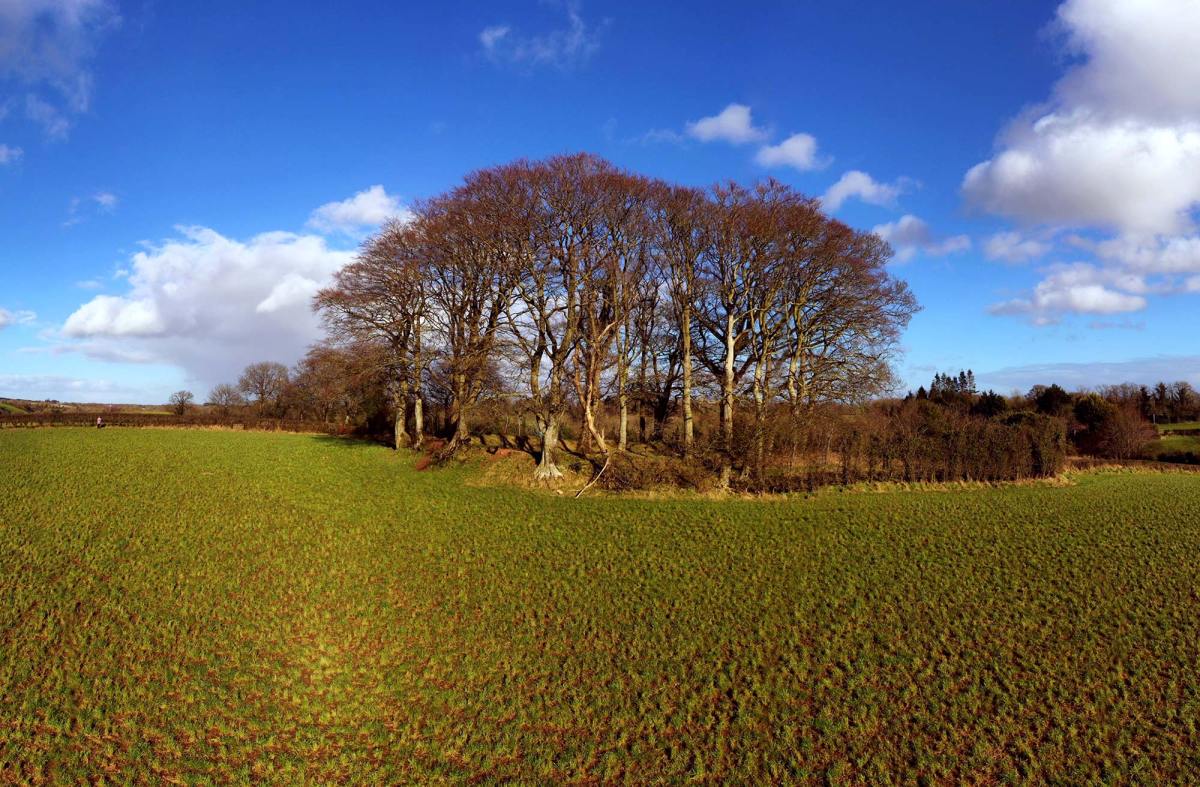 Contact Us – An Carn Distillery